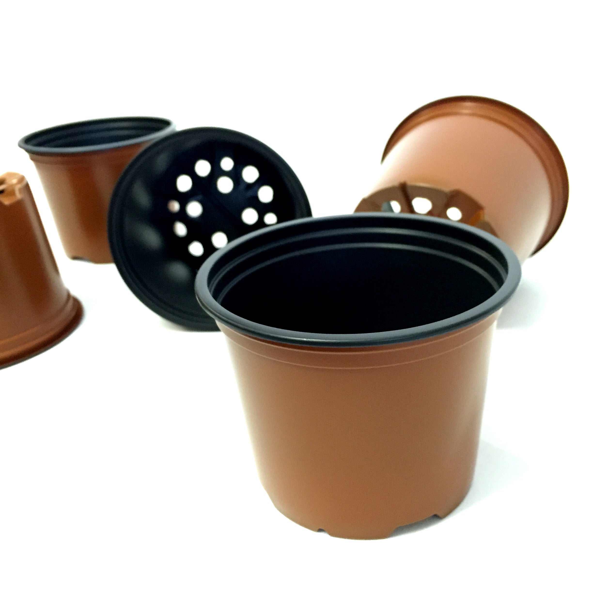 Plastic flower pots, Kings seeds — Plant Pots Direct