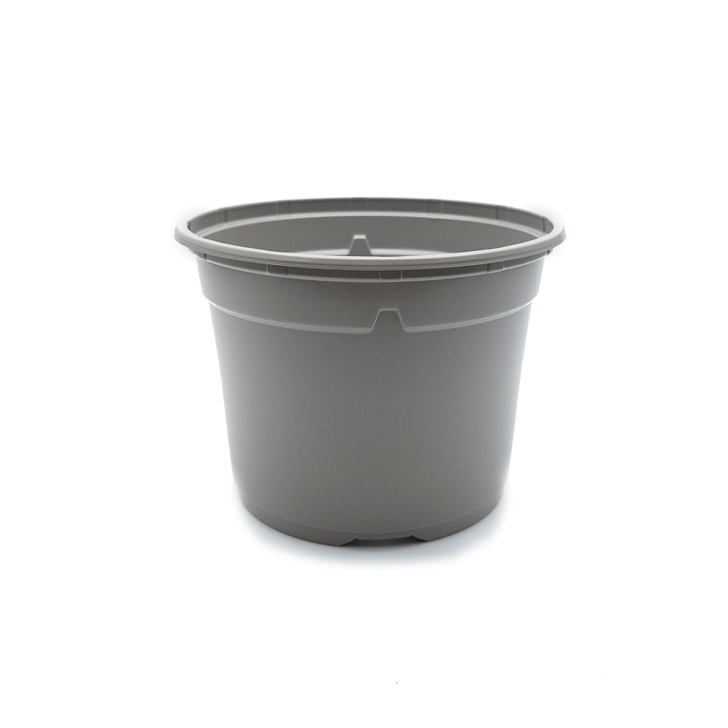 Small Plant Pots 7cm to 15cm in diameter — Plant Pots Direct