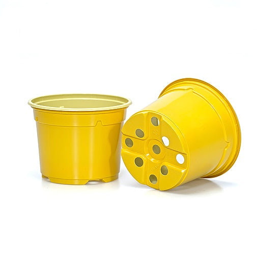 9cm Coloured Duo 5° Low Pot - Yellow (23) by Soparco — Plant Pots Direct