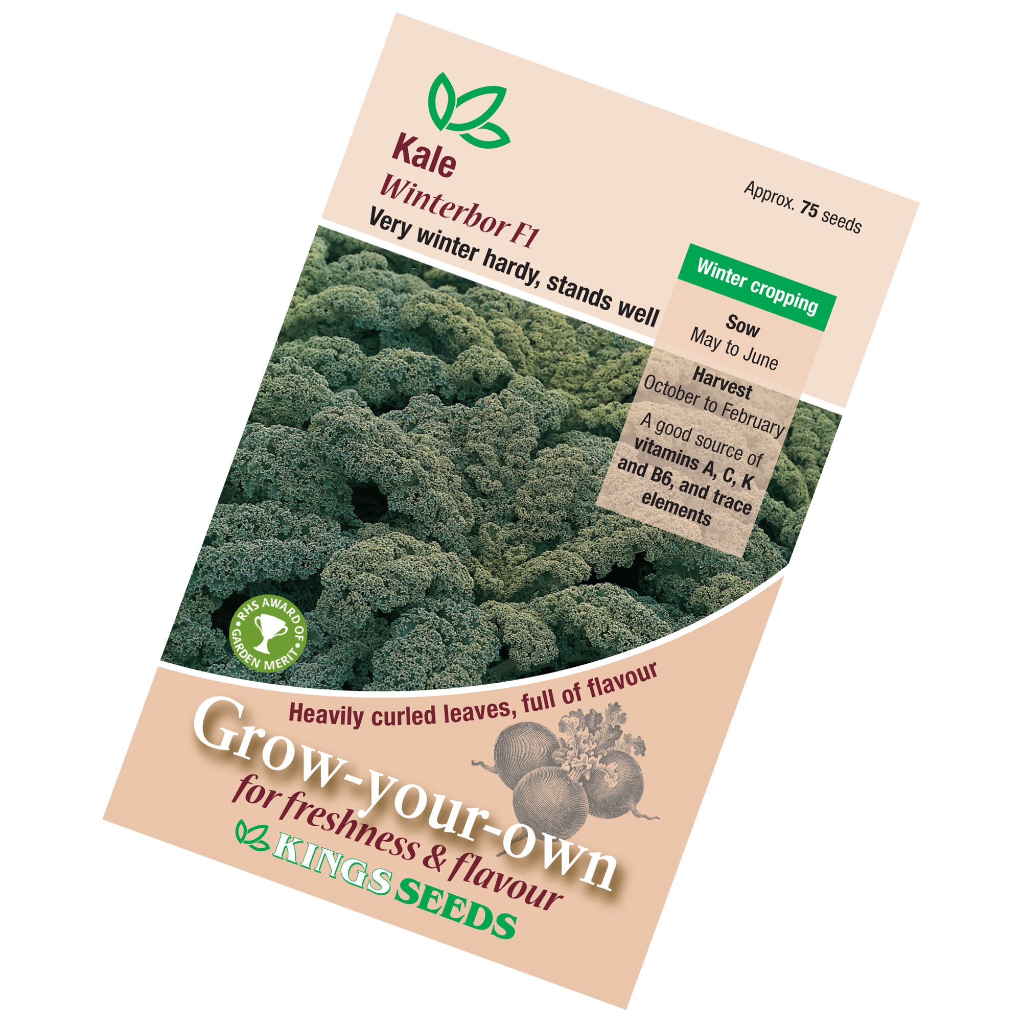 Kale Winterbor F1 Seeds — Plant Pots Direct