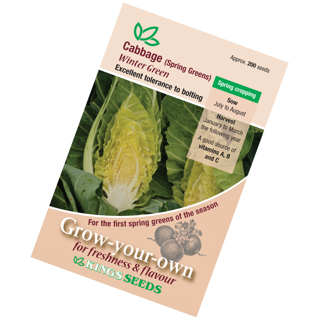 Vegetable Seeds supplied by Kings — Plant Pots Direct