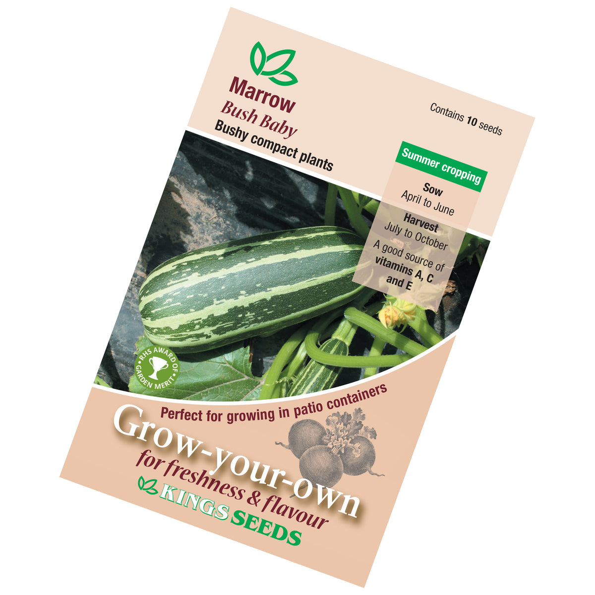 Marrow Bush Baby Seeds — Plant Pots Direct
