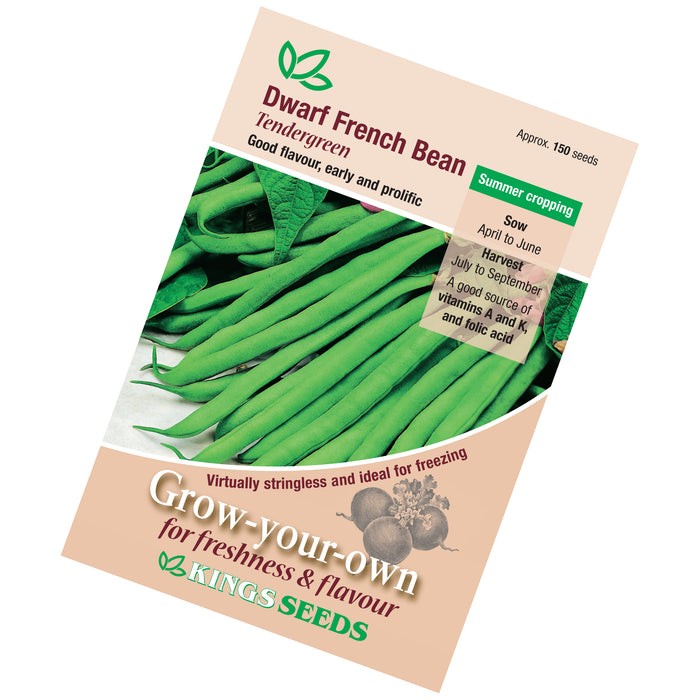 Bush Beans Seeds Tendergreen Bush Bean Seeds – Heirloom, 20+ Seeds ...