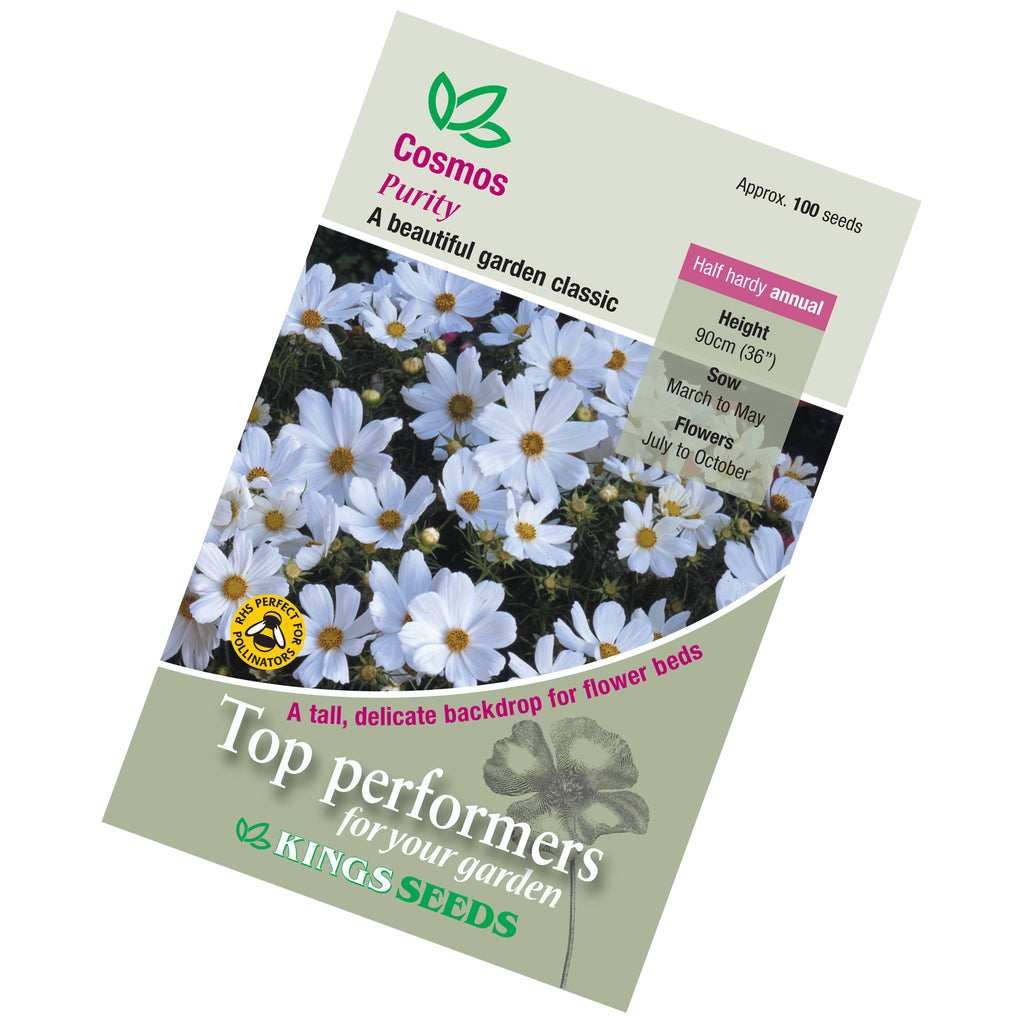 Flower Seeds produced by Kings — Plant Pots Direct