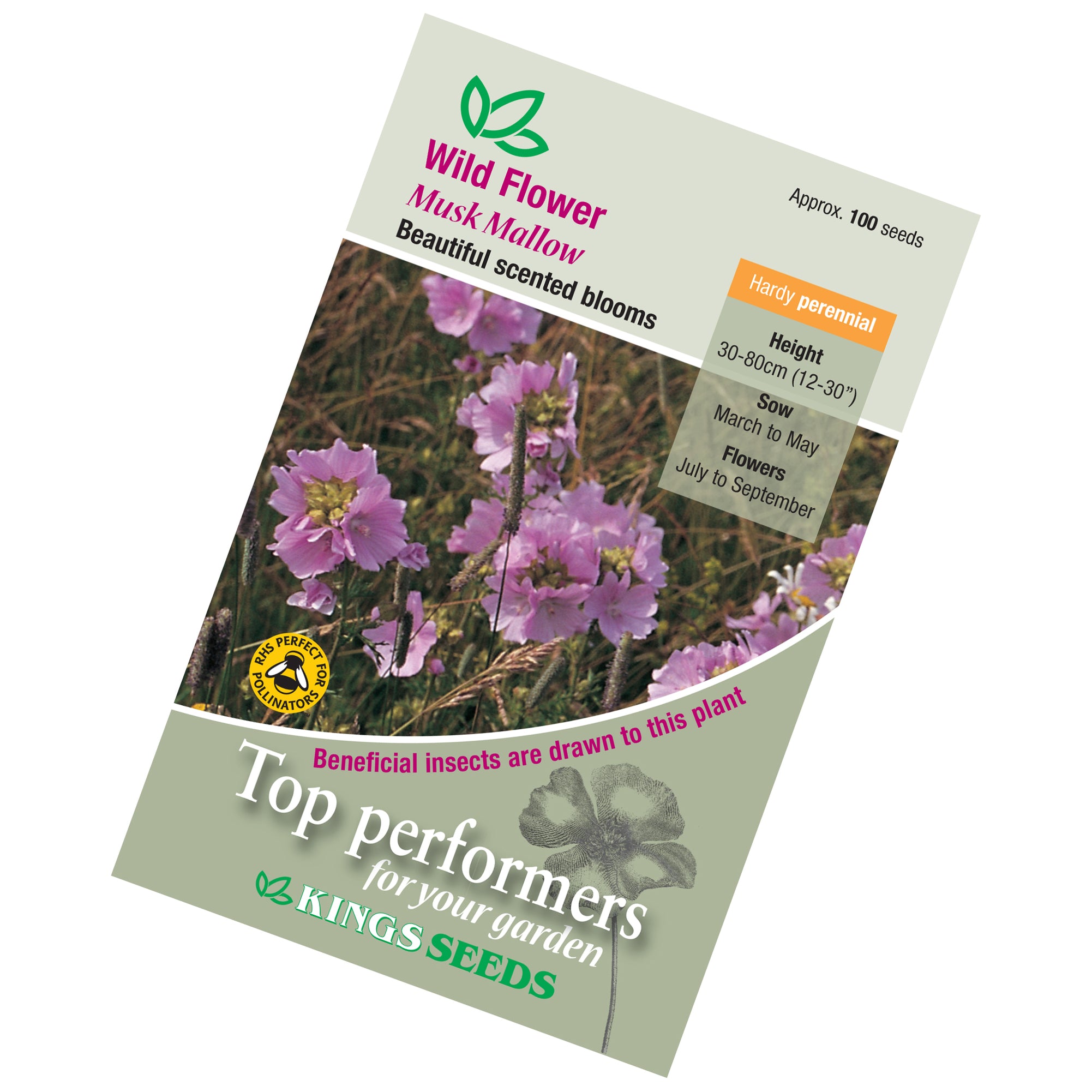 Wild Flower Musk Mallow Seeds — Plant Pots Direct