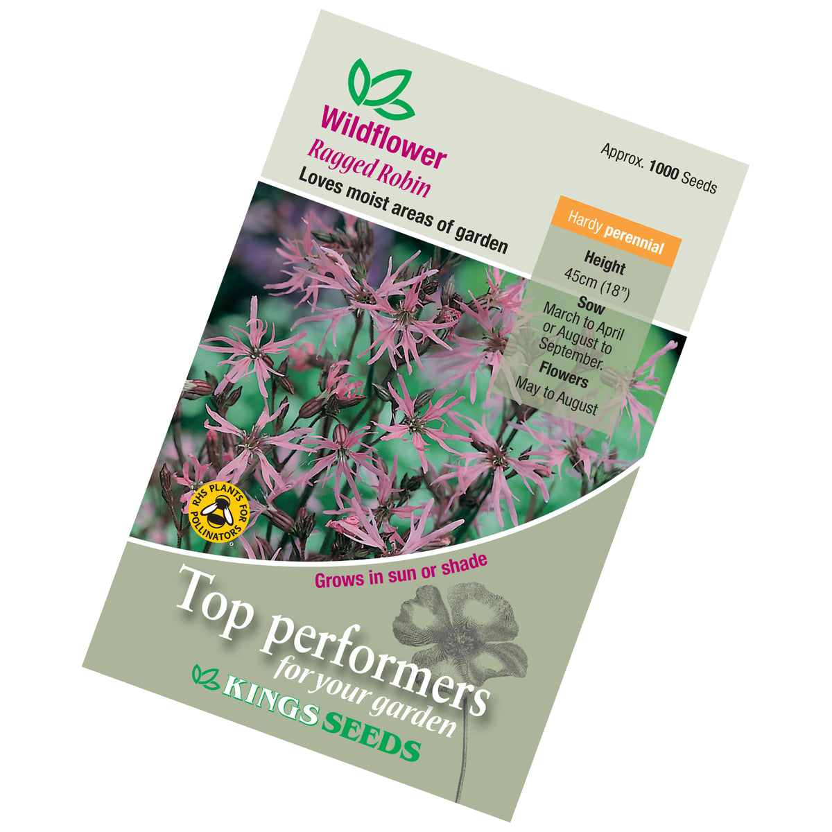 Wild Flower Ragged Robin Seeds — Plant Pots Direct