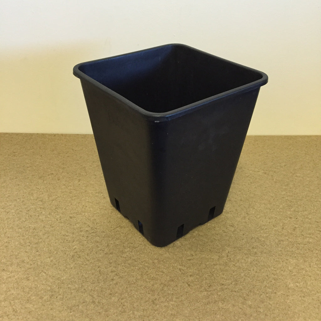 Square Plant Pots — Plant Pots Direct